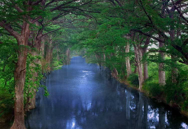 The End? The new beginning – walklikejesus