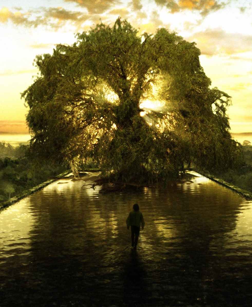 The End? The new beginning – walklikejesus